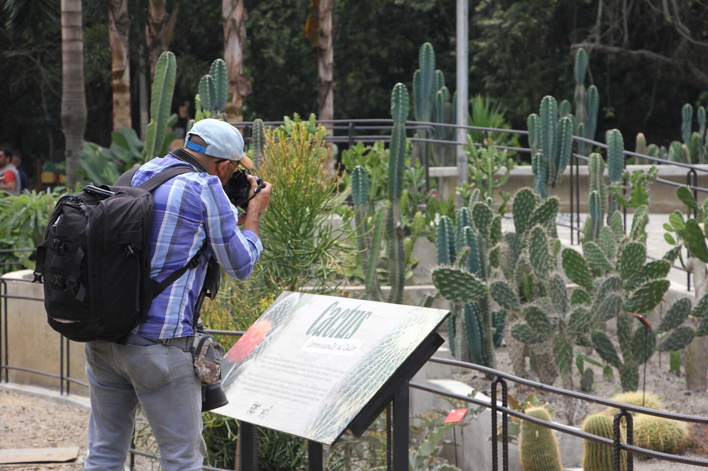 Conozca el Jardín Botánico de Cali: un espacio que te ayuda a conectar ...