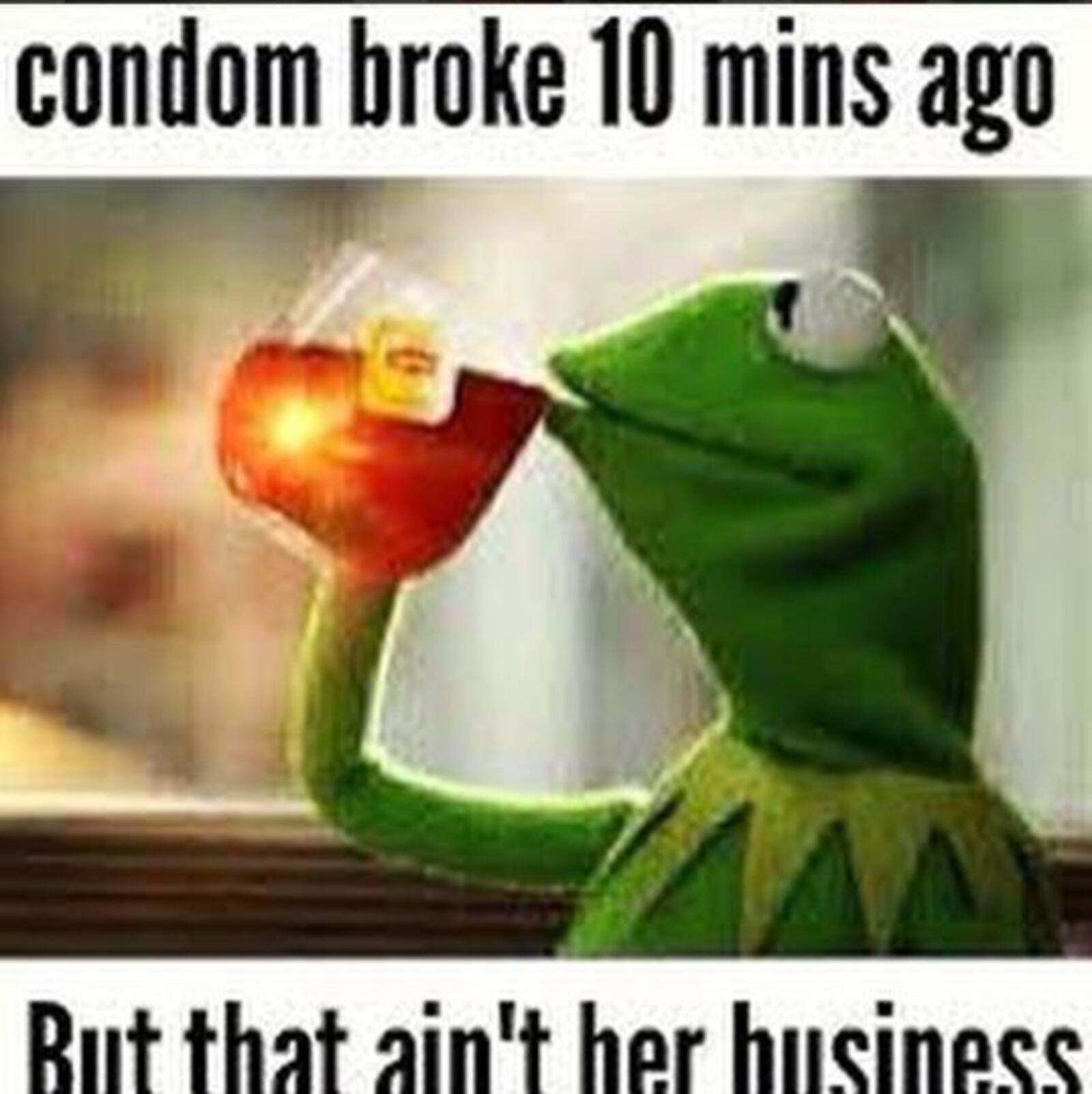 Este es el origen de los memes de la Rana René – Publimetro Colombia