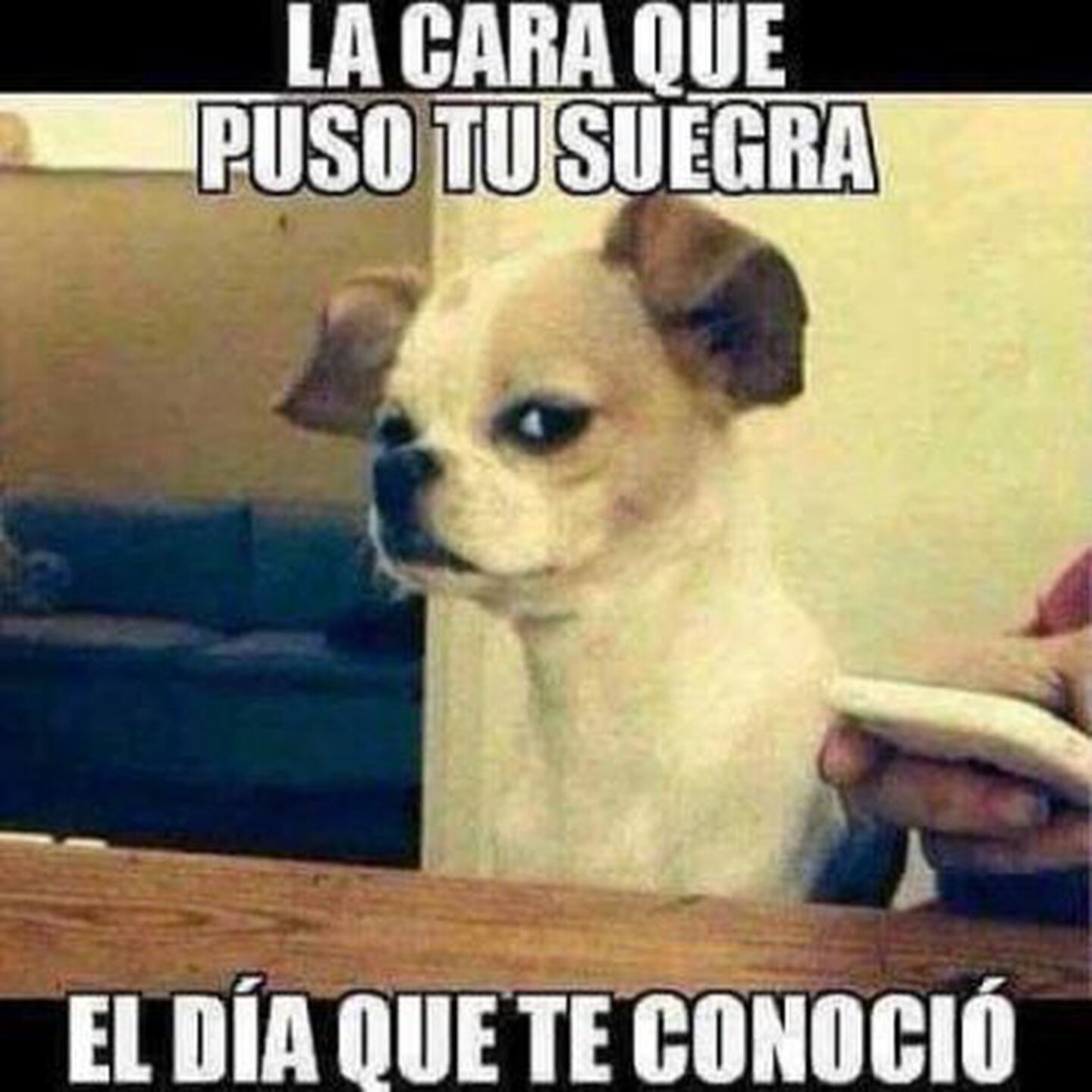 El Día de la Suegra provoca una “guerra” de memes – Publimetro Colombia