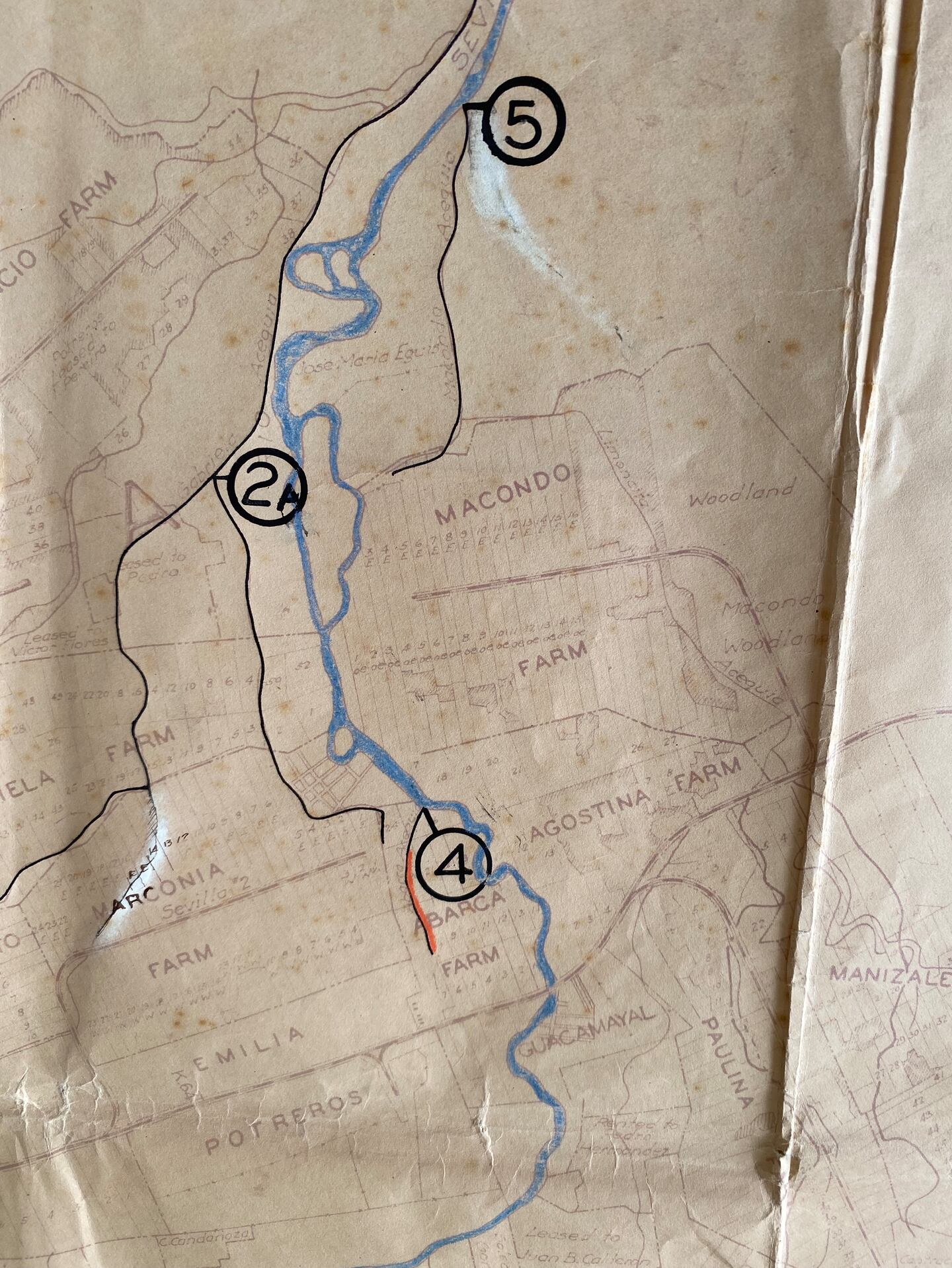 Gabo: Gabriel García Márquez hallan mapa de cómo era la finca de ...