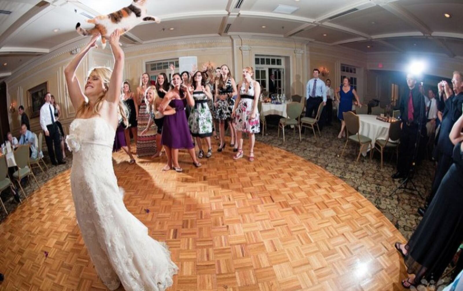 FOTOS: Novias “lanzan” gatos en lugar de ramos de flores en su boda ...