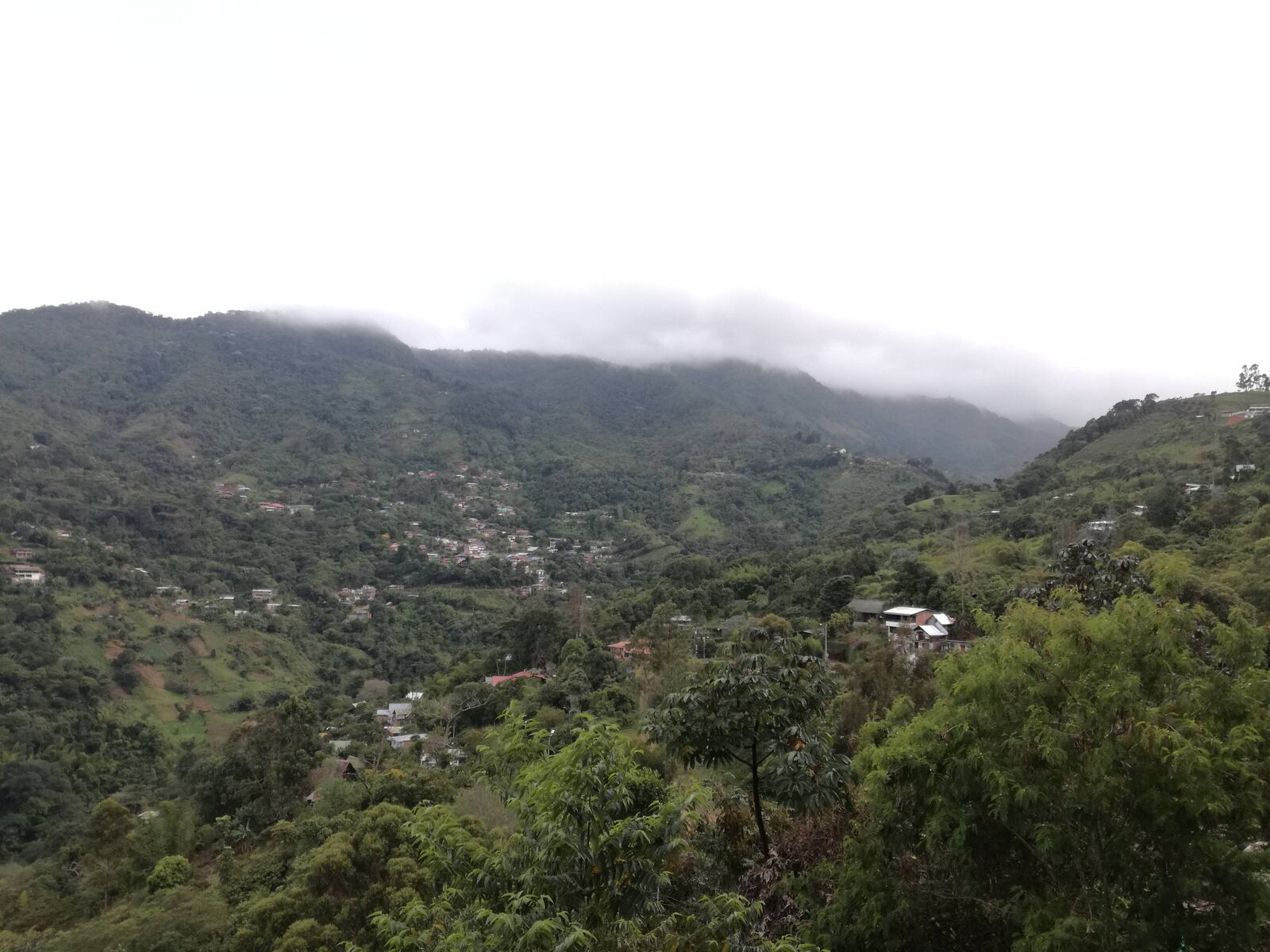 Felidia, viaje a un paraíso en medio de la montaña – Publimetro Colombia