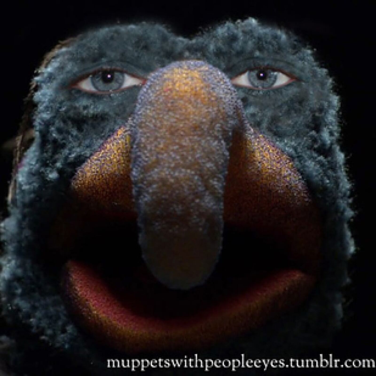 Fotos: Así se verían ‘Los Muppets’ con ojos humanos – Publimetro Colombia
