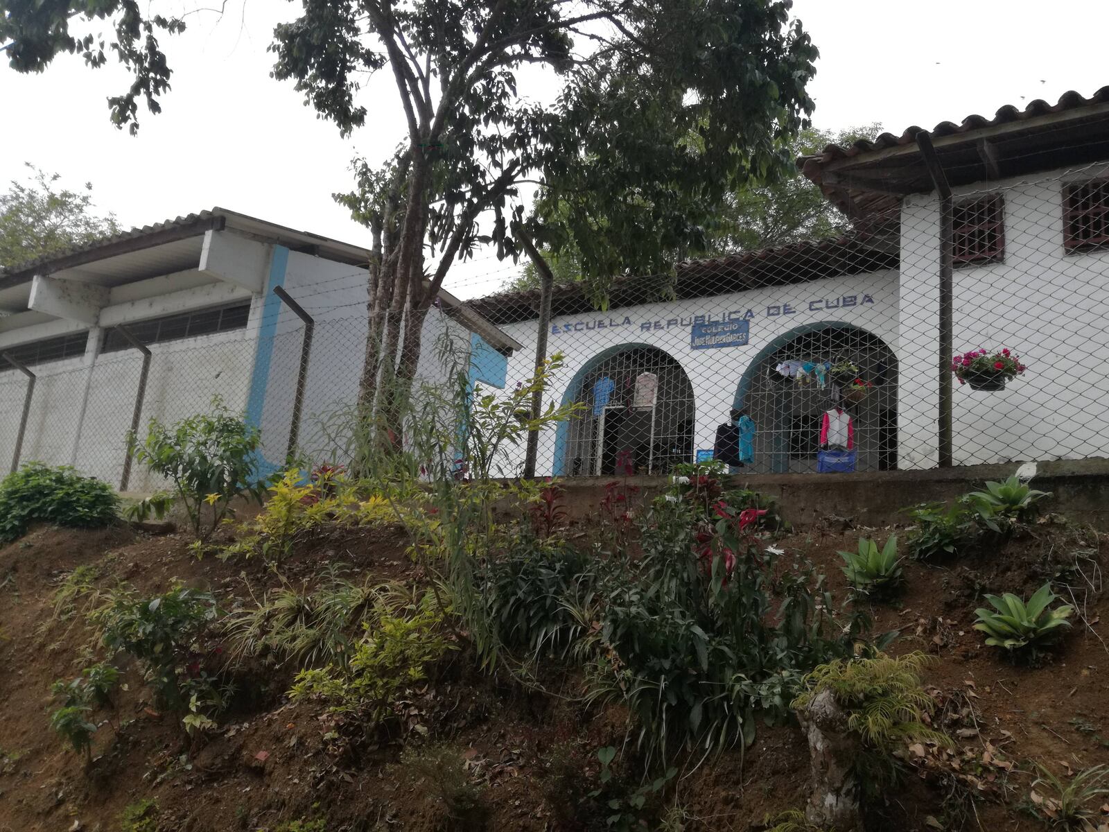 Felidia, viaje a un paraíso en medio de la montaña – Publimetro Colombia